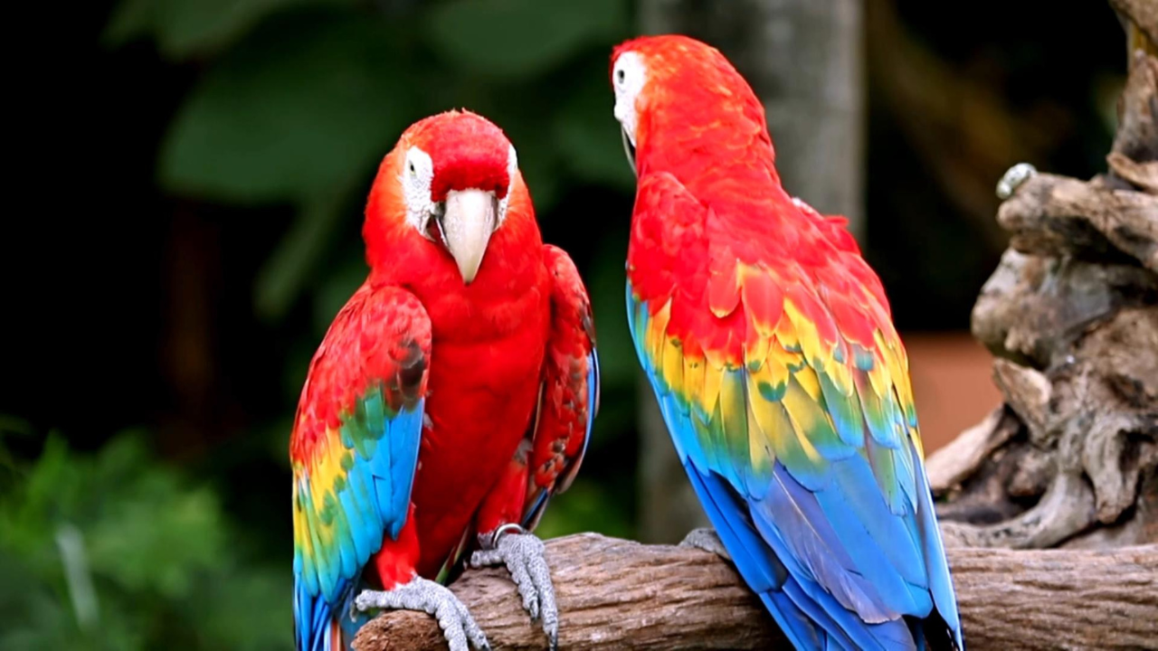 Intro to Energy Sources and Generating Electricity. Video sheet, Google ...