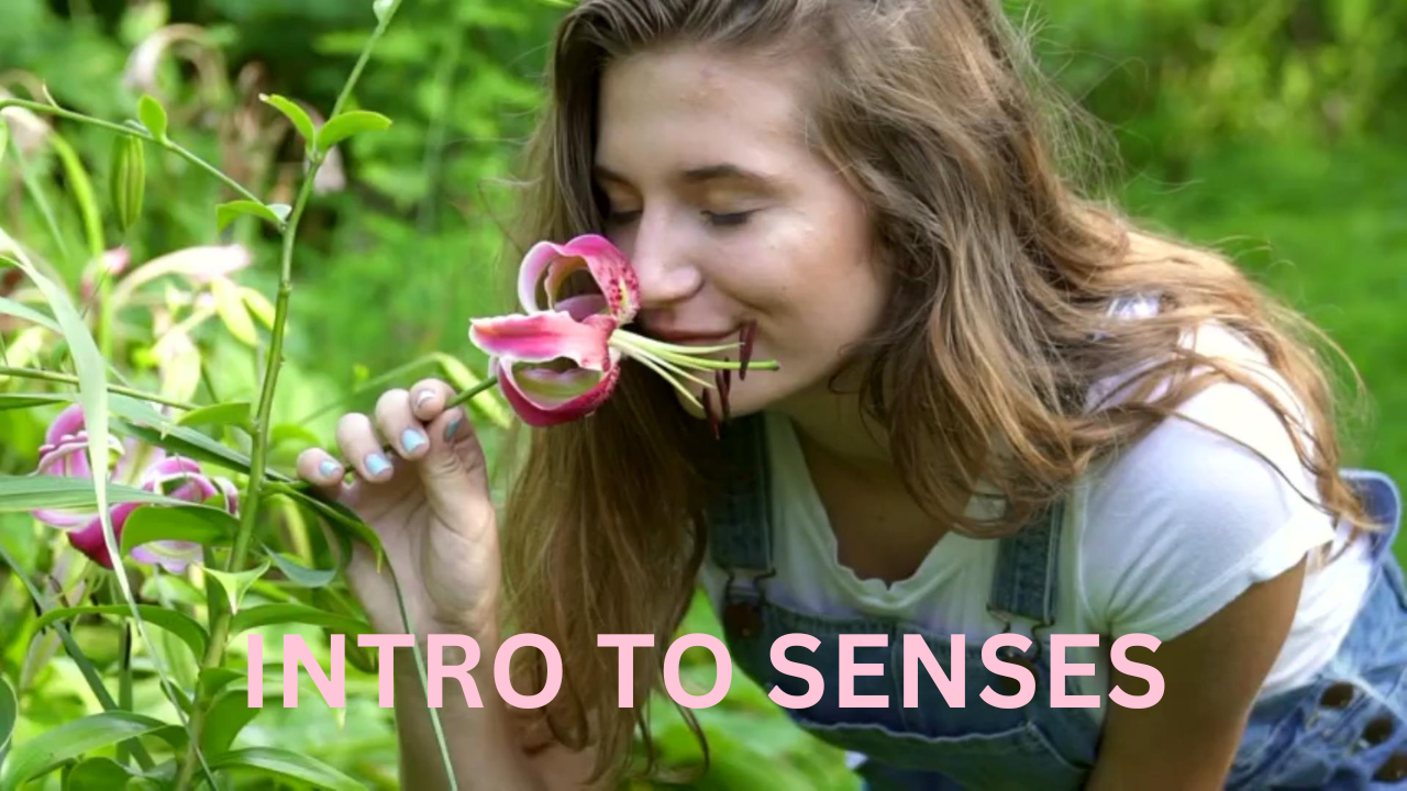 Intro to Energy Sources and Generating Electricity. Video sheet, Google ...