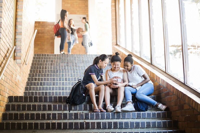 Civic Issues in Uncertain Times | Blog | Share My Lesson